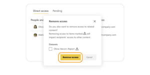Power BI Workspace Permissions, Roles, and Access Report