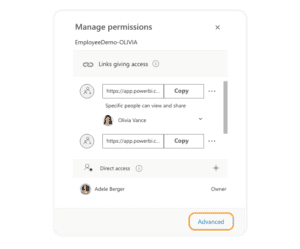 Power BI Workspace Permissions, Roles, and Access Report