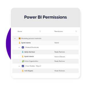 Power BI Workspace Permissions, Roles, and Access Report